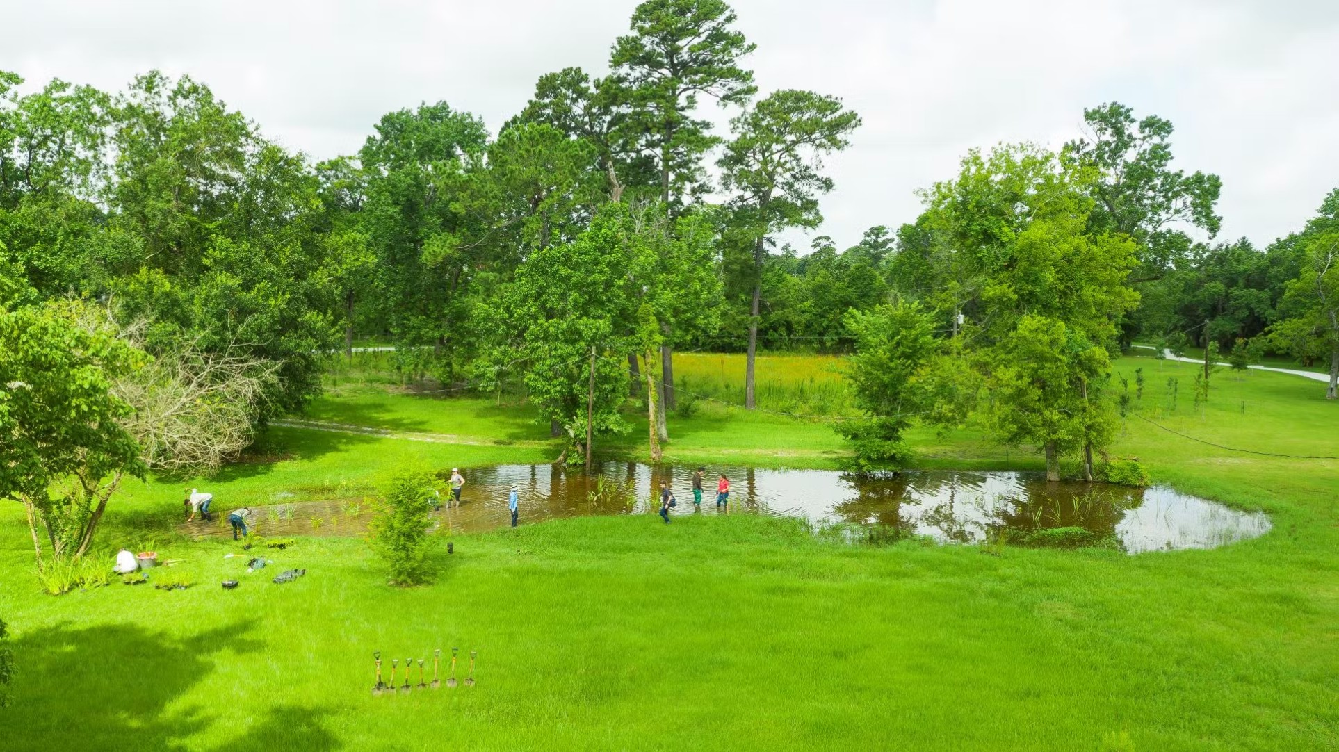 Introducing Houston's Newest Wetland - Houston Parks Board