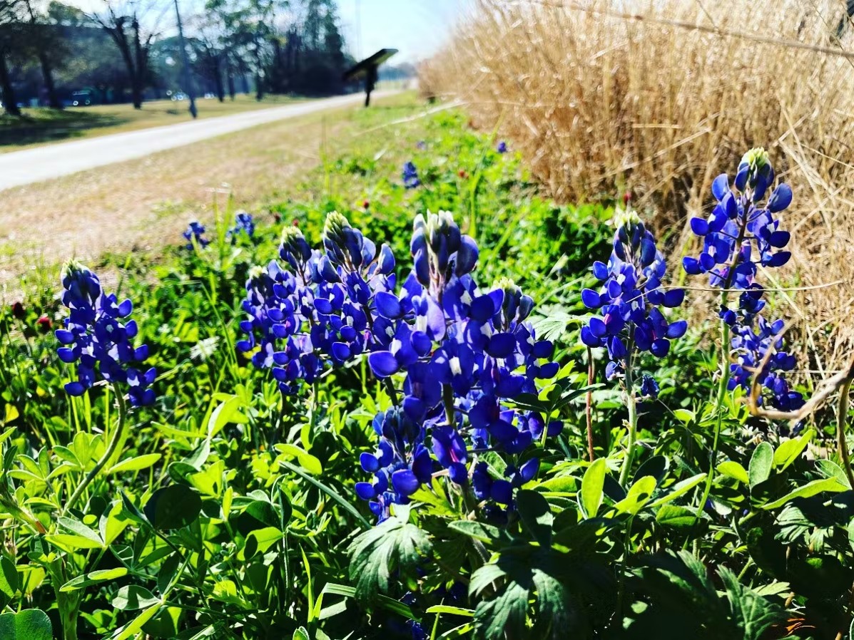Spring Break on the BayouGreenways - Houston Parks Board